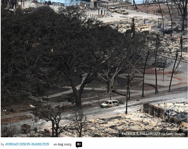 Maui’s Famous Banyan Tree Scorched by Wildfires but Still Stands ...